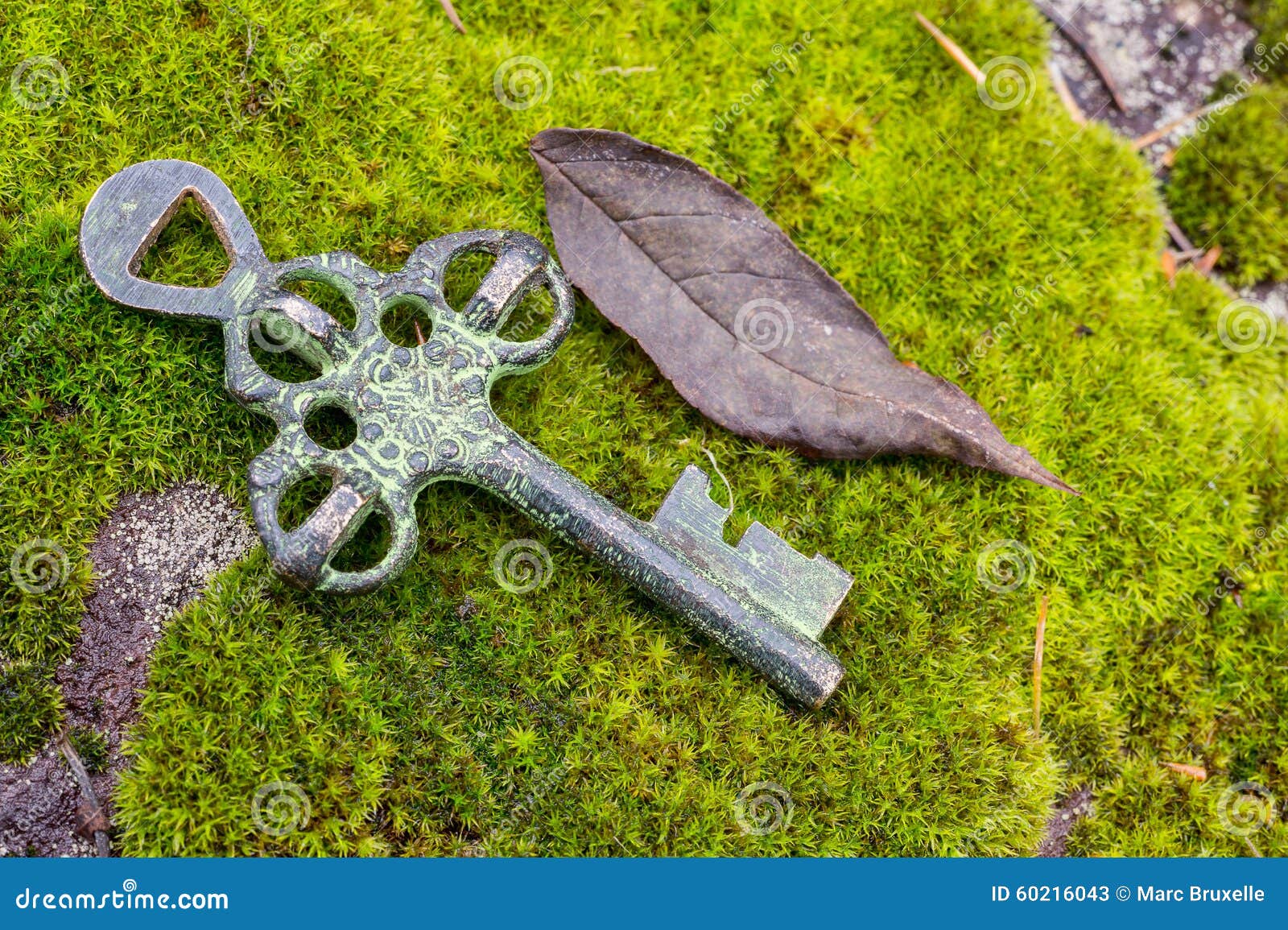 Old treasure key stock image. Image of magic, element - 60216043