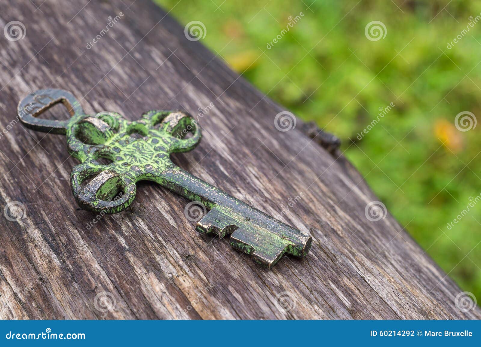 Old treasure key stock photo. Image of forest, metallic - 60214292