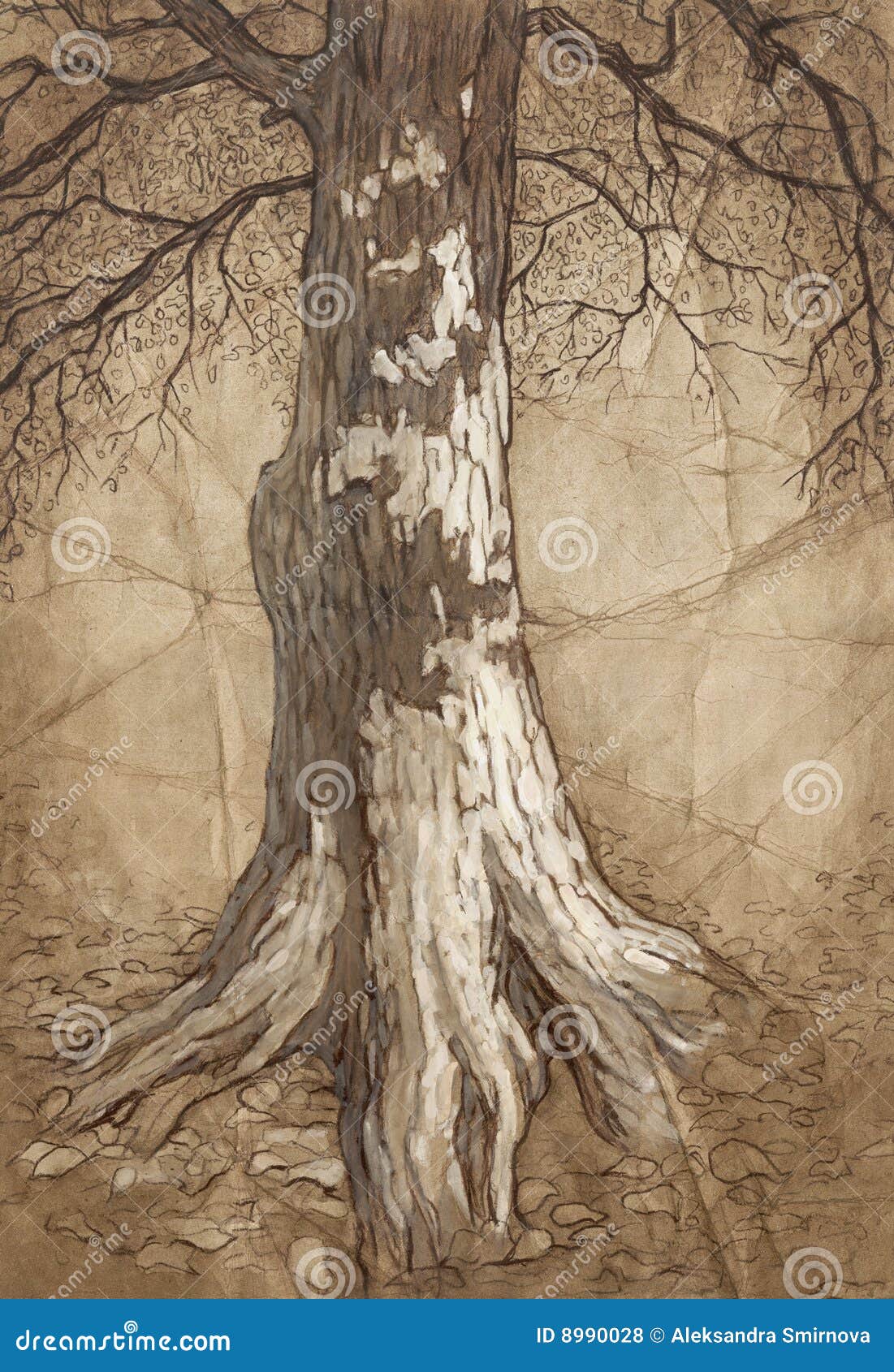 Old tree stock illustration. Illustration of colorful - 8990028