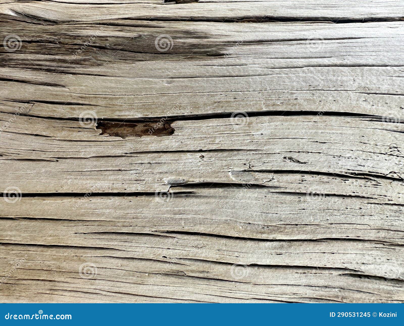 Old Tree Background. Weathered Highly Detailed Tree Stock Image - Image ...