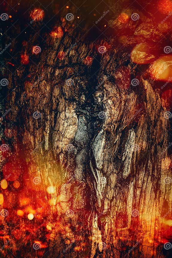 Old Tree Bark, Beech Trunk on Fire Background. Stock Photo - Image of ...