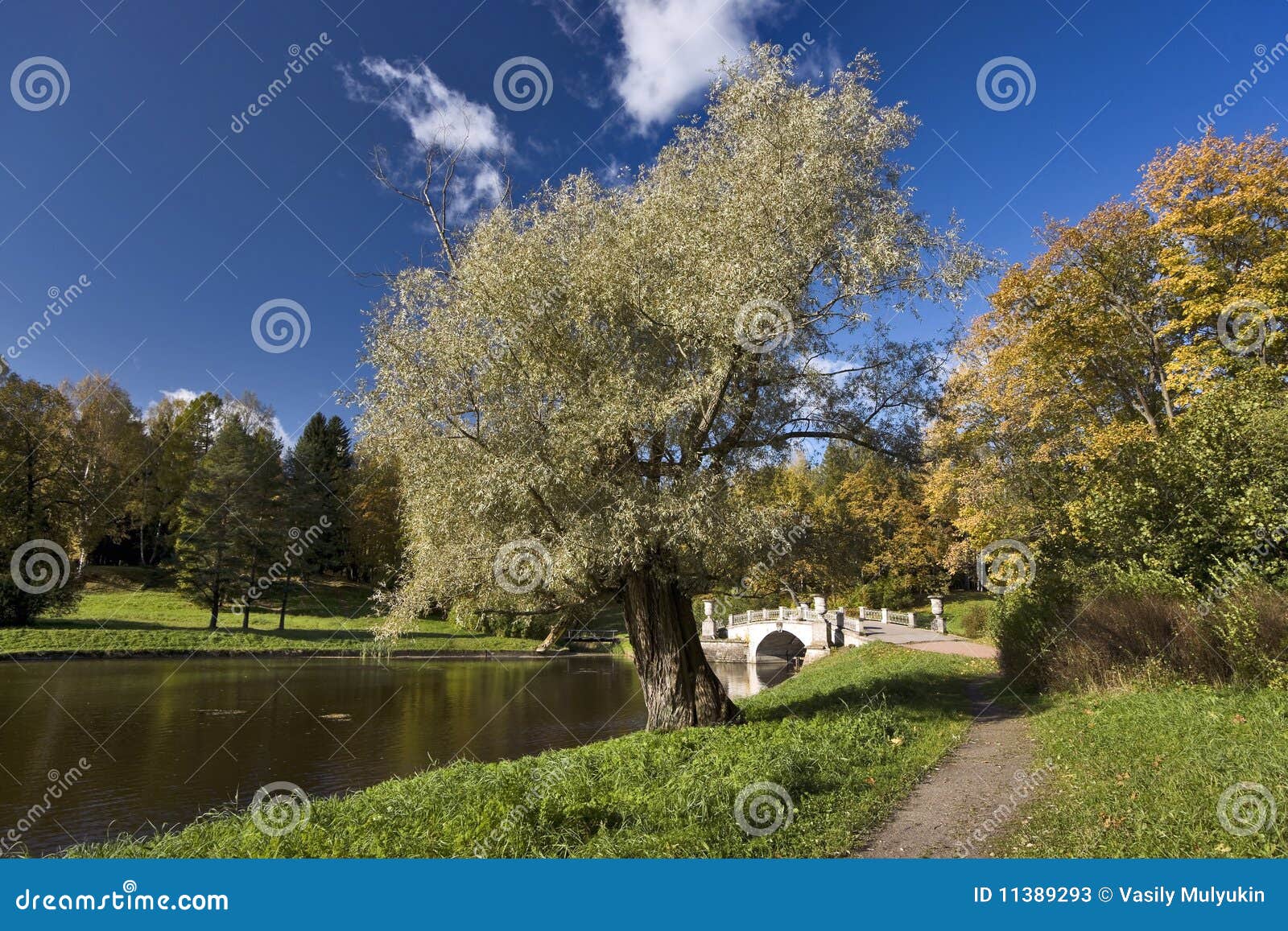 Old Tree and Classical Bridge Stock Image - Image of style, park: 11389293