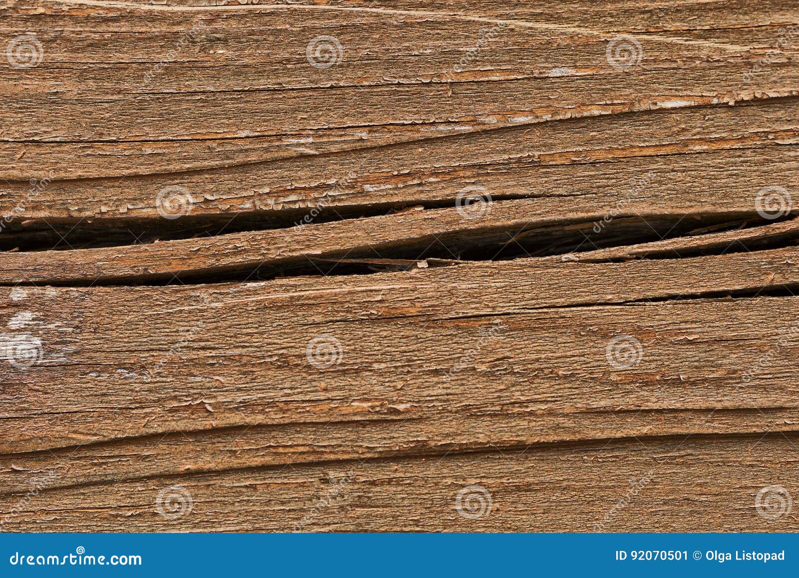 Old Tree with a Crack. Wooden Texture Stock Image - Image of beech ...
