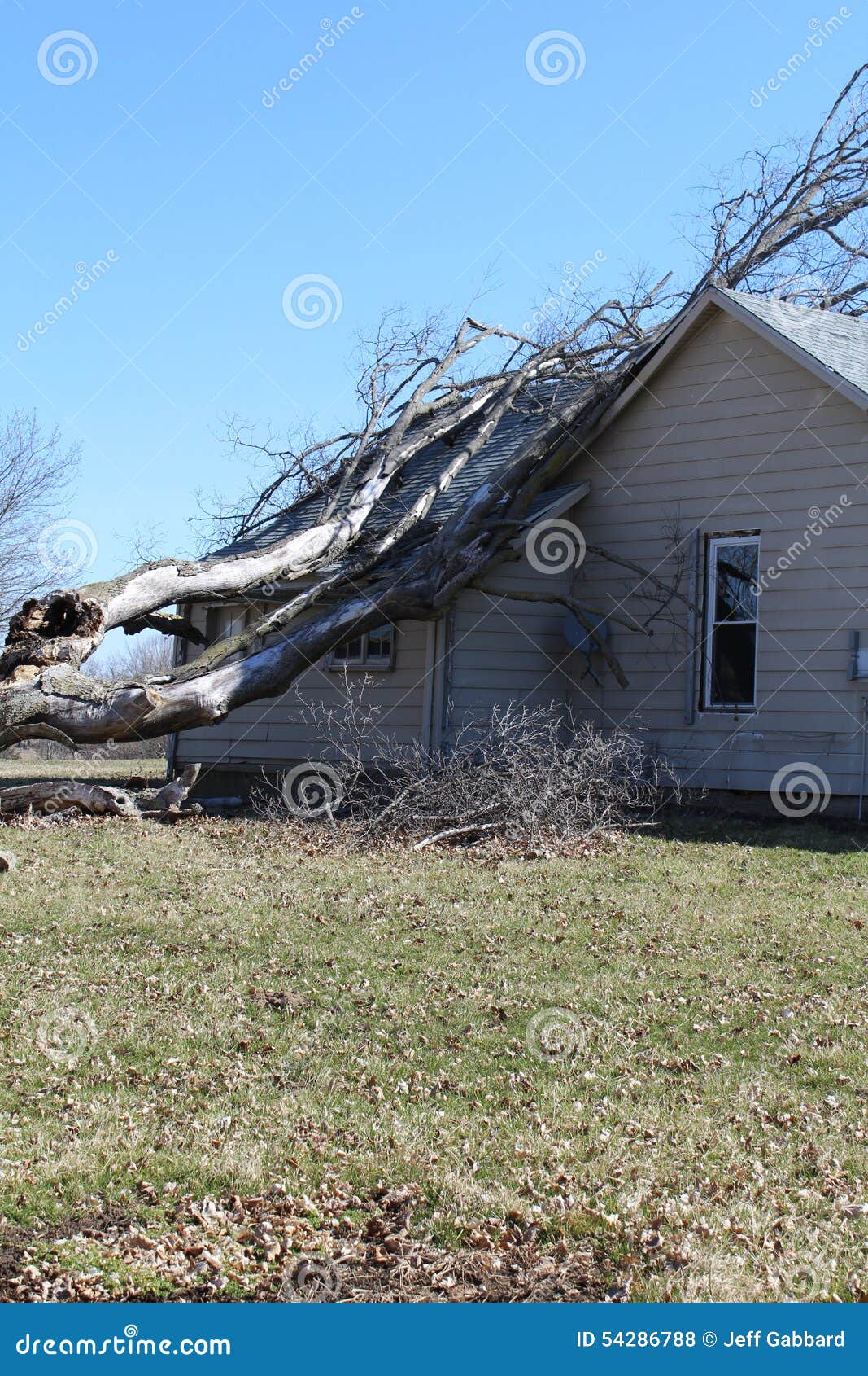 Old tree fell on a house stock photo. Image of window - 54286788