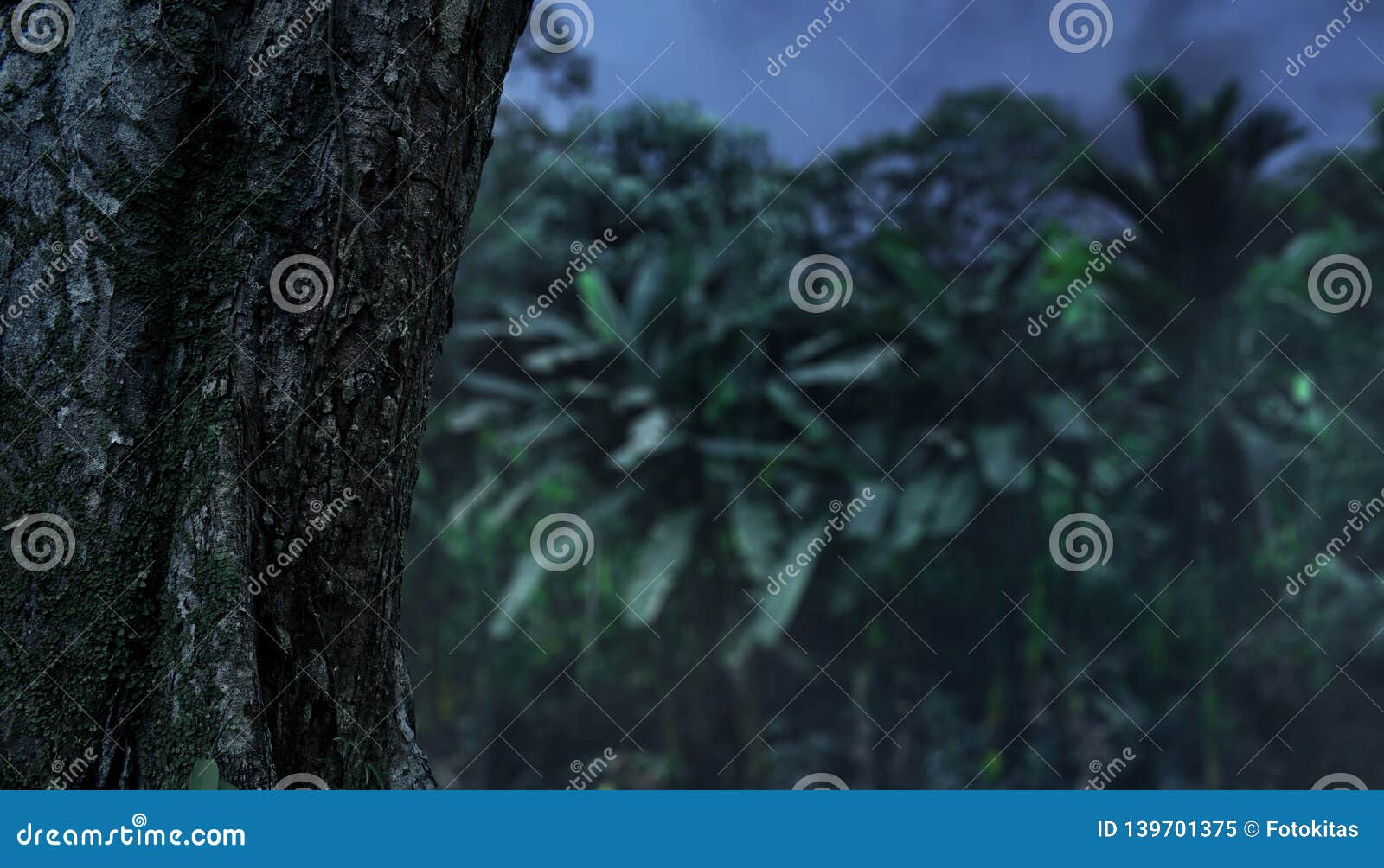 Old Tree on Forest at Night Stock Image - Image of element, night ...