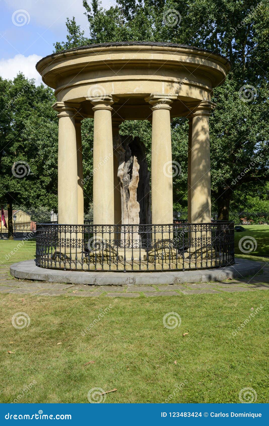 The Old Tree of Gernika stock photo. Image of arbola - 123483424