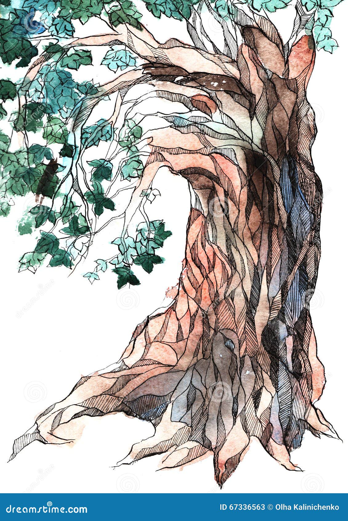 Old tree stock illustration. Illustration of boreal, outdoors - 67336563