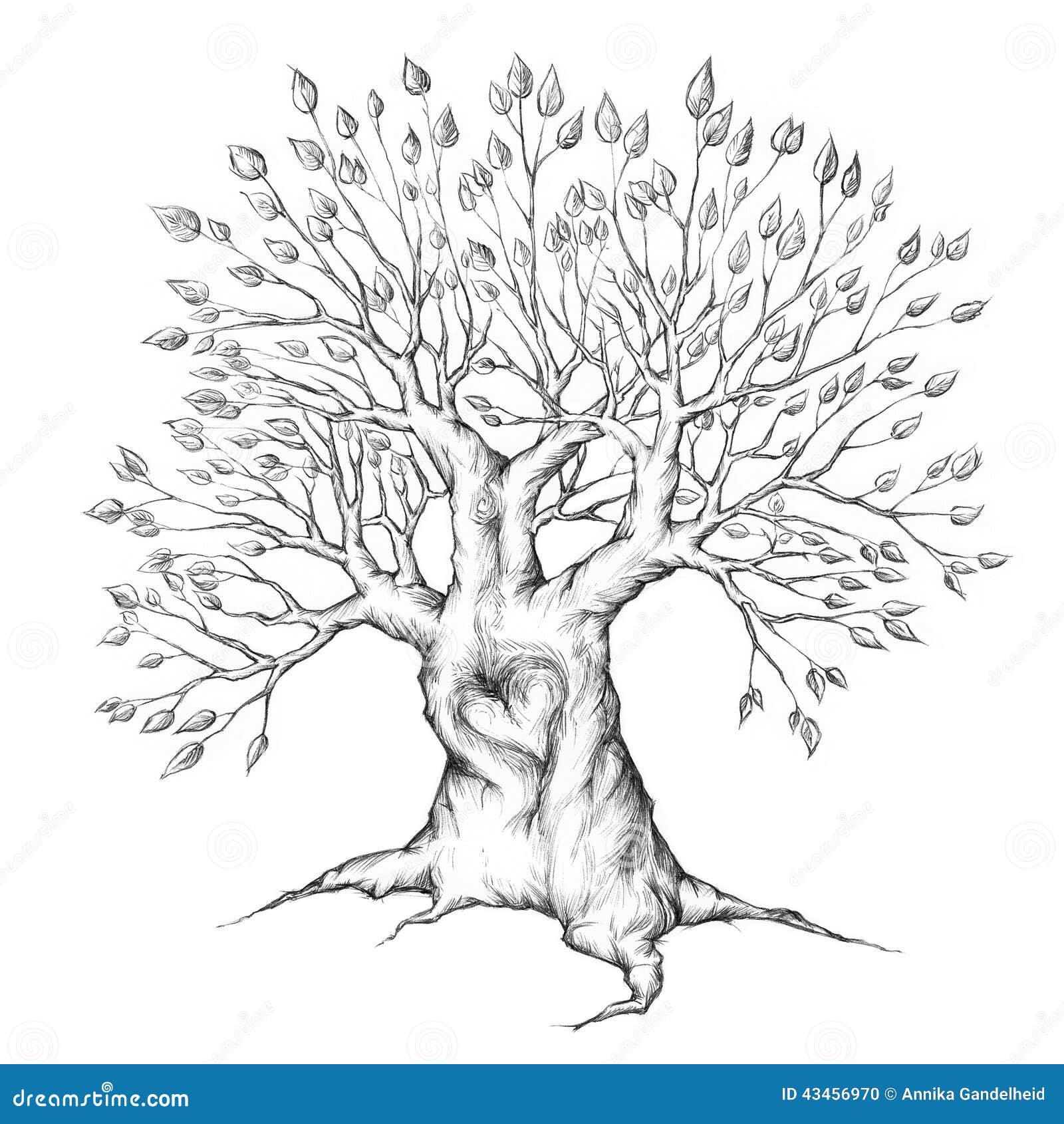 Old Tree Drawing With Roots