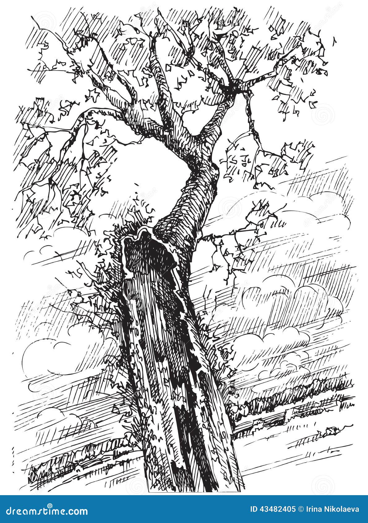 Old tree stock vector. Illustration of landscape, tree - 43482405