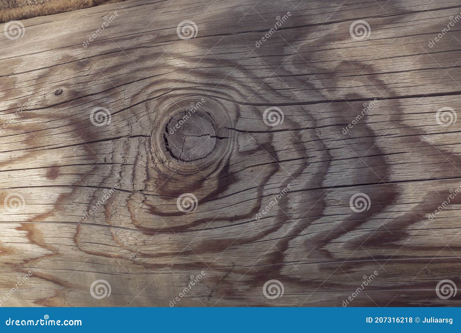 Old Tree Log. Tree Texture for Background Stock Photo - Image of tree ...