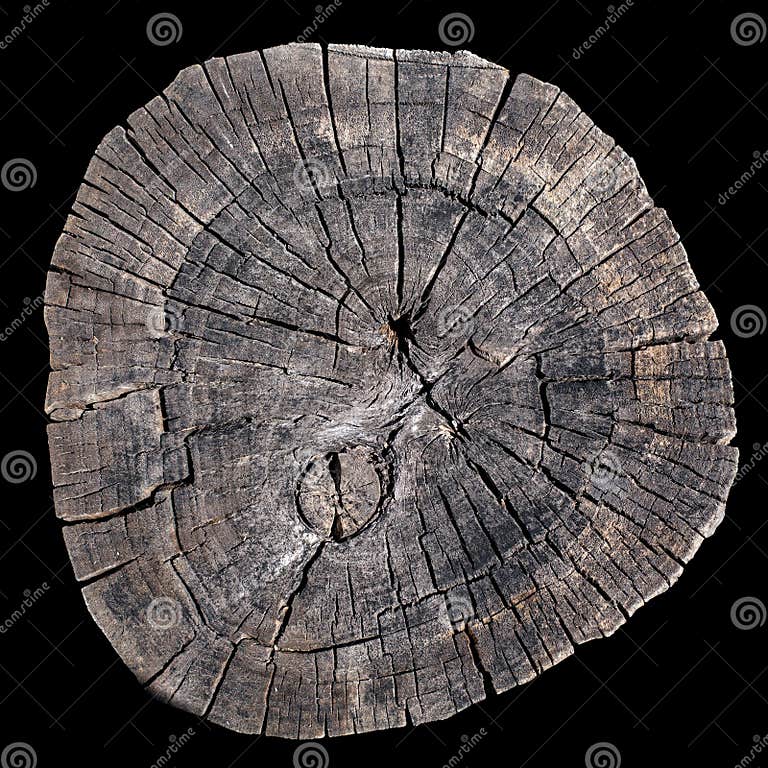 Old tree rings stock image. Image of reviva, obsolete - 41937557
