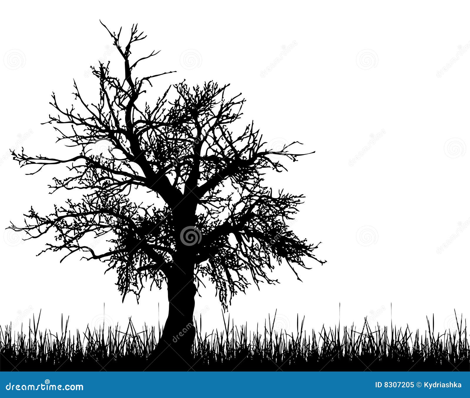 Old tree silhouette stock vector. Illustration of grass - 8307205