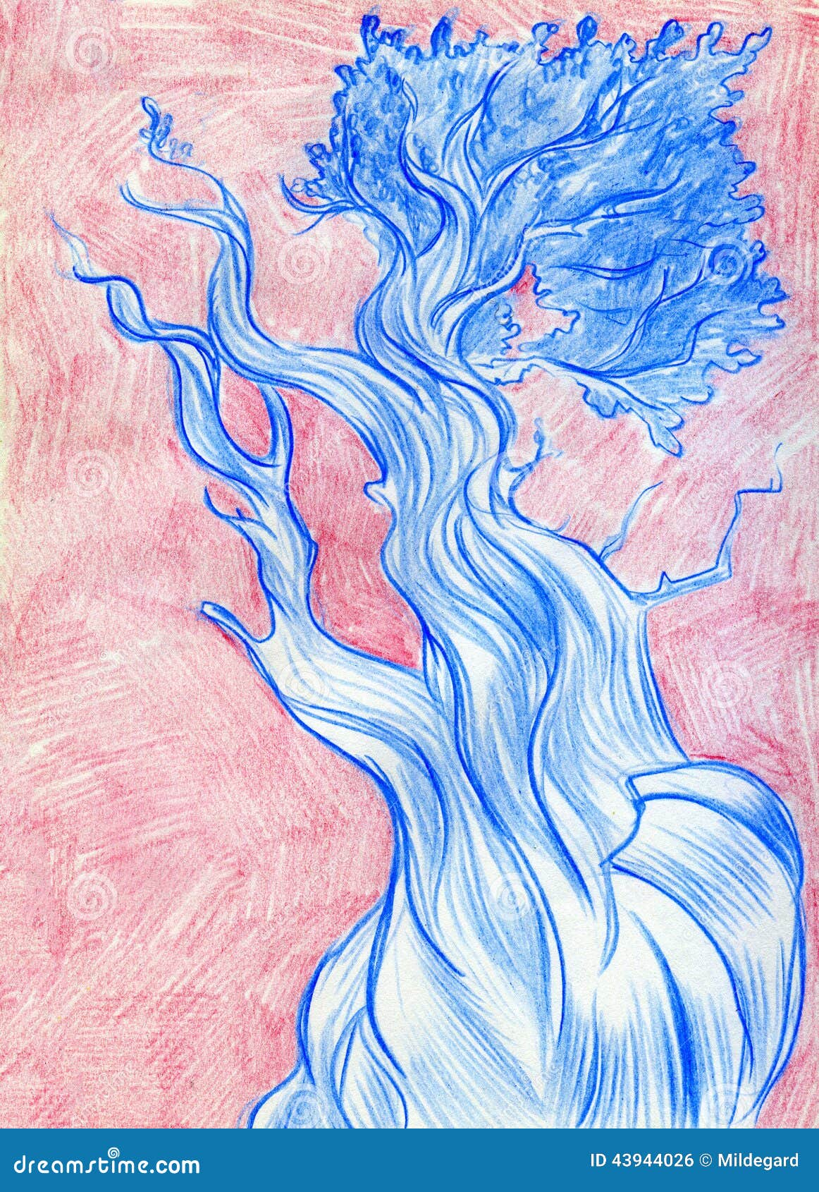 Old tree sketch stock illustration. Illustration of color - 43944026