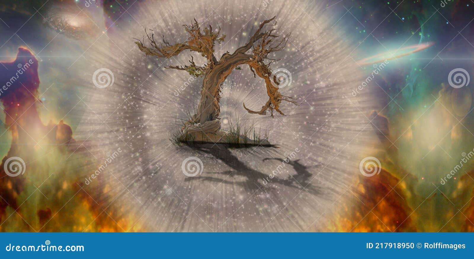 Old Tree in Space stock illustration. Illustration of mysterious ...