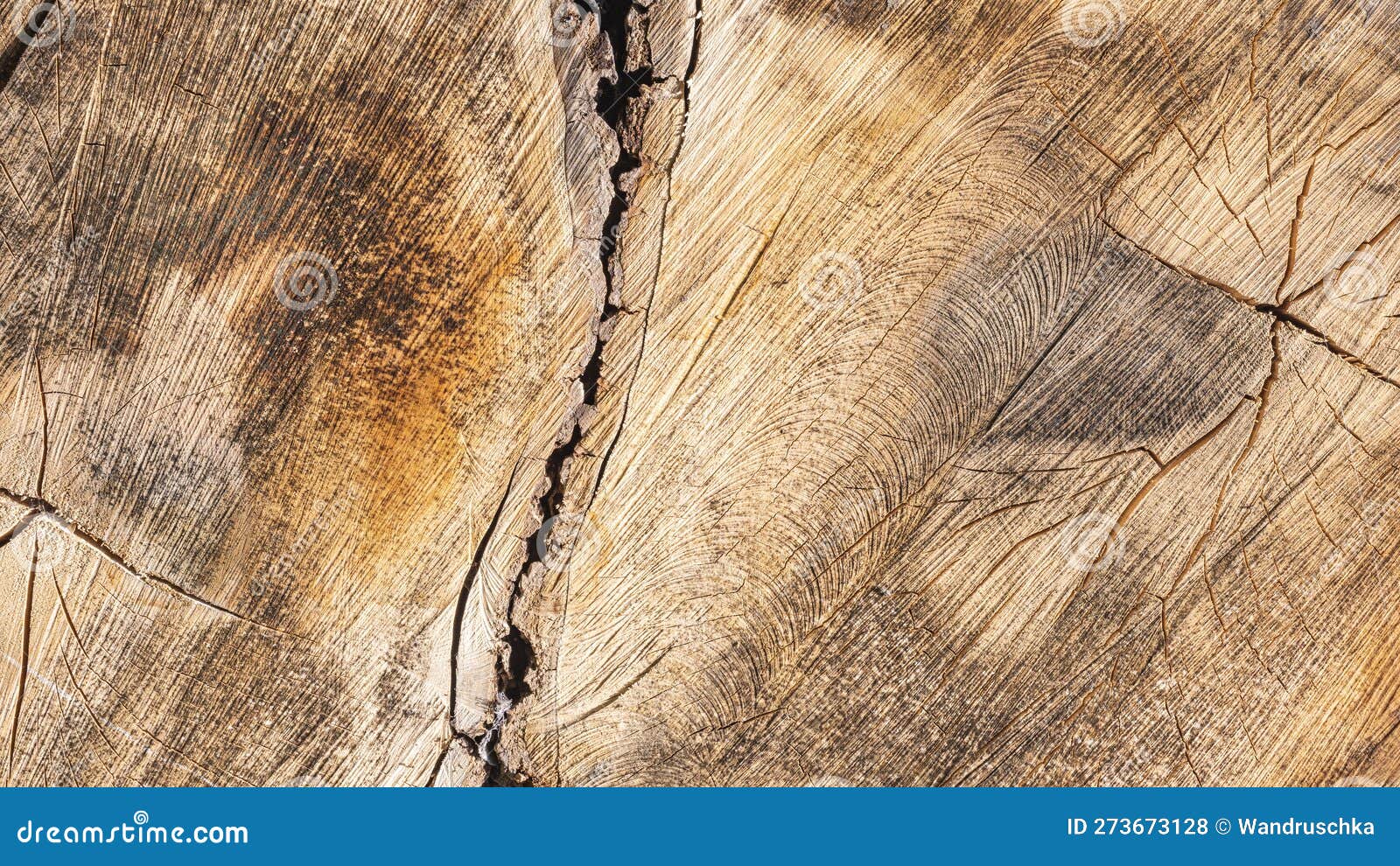 The Nice Structure Royalty-Free Stock Photo | CartoonDealer.com #26570289