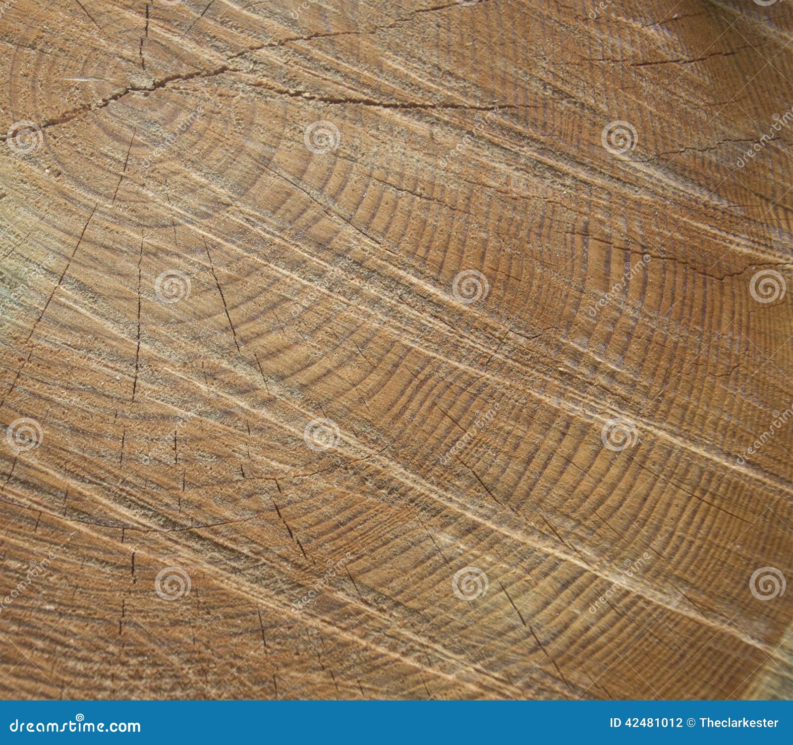 Old Tree Stump Showing Aged Lines Stock Photo - Image of close, macro ...