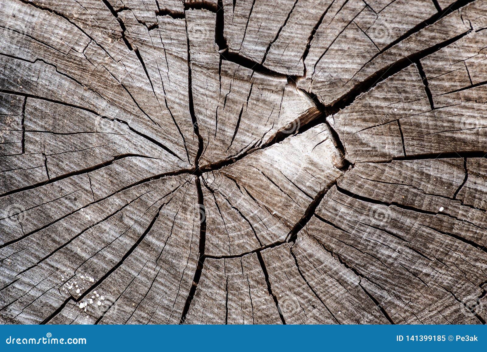 Old tree stump texture stock image. Image of deforestation - 141399185