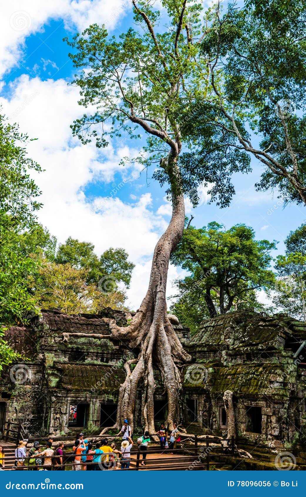 Old Tree at Ta Prohm Temple Editorial Photo - Image of ancient, reap ...