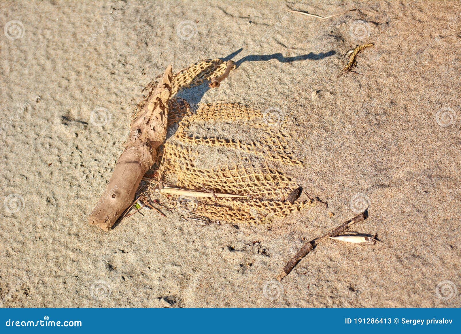 An Old Tree Tangled Up in an Old Fishing Net Stock Image - Image of ...