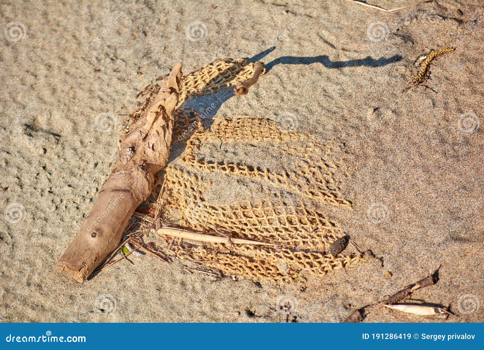 An Old Tree Tangled Up in an Old Fishing Net Stock Image - Image of ...