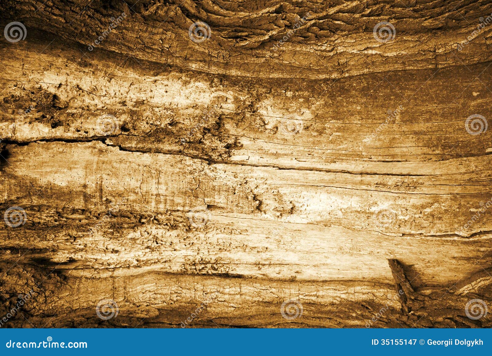 Old tree texture stock image. Image of textured, bark - 35155147