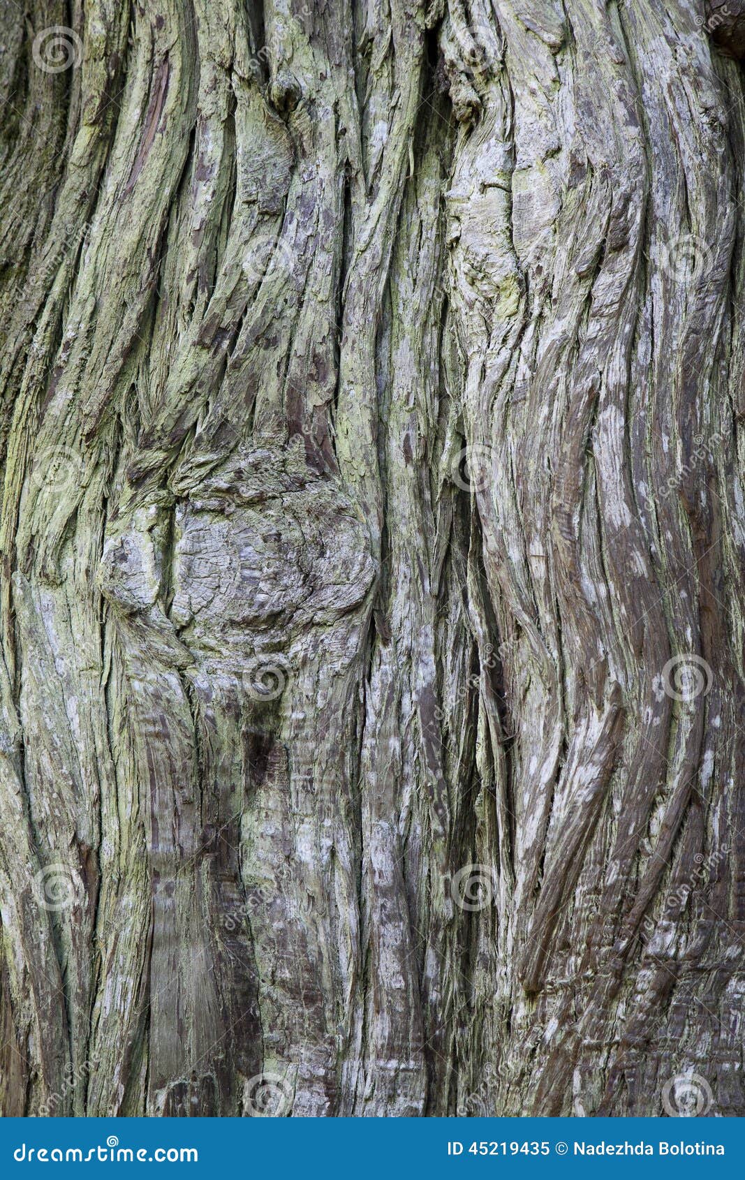 Grey Bumpy Concrete Texture Royalty-Free Stock Photo | CartoonDealer ...