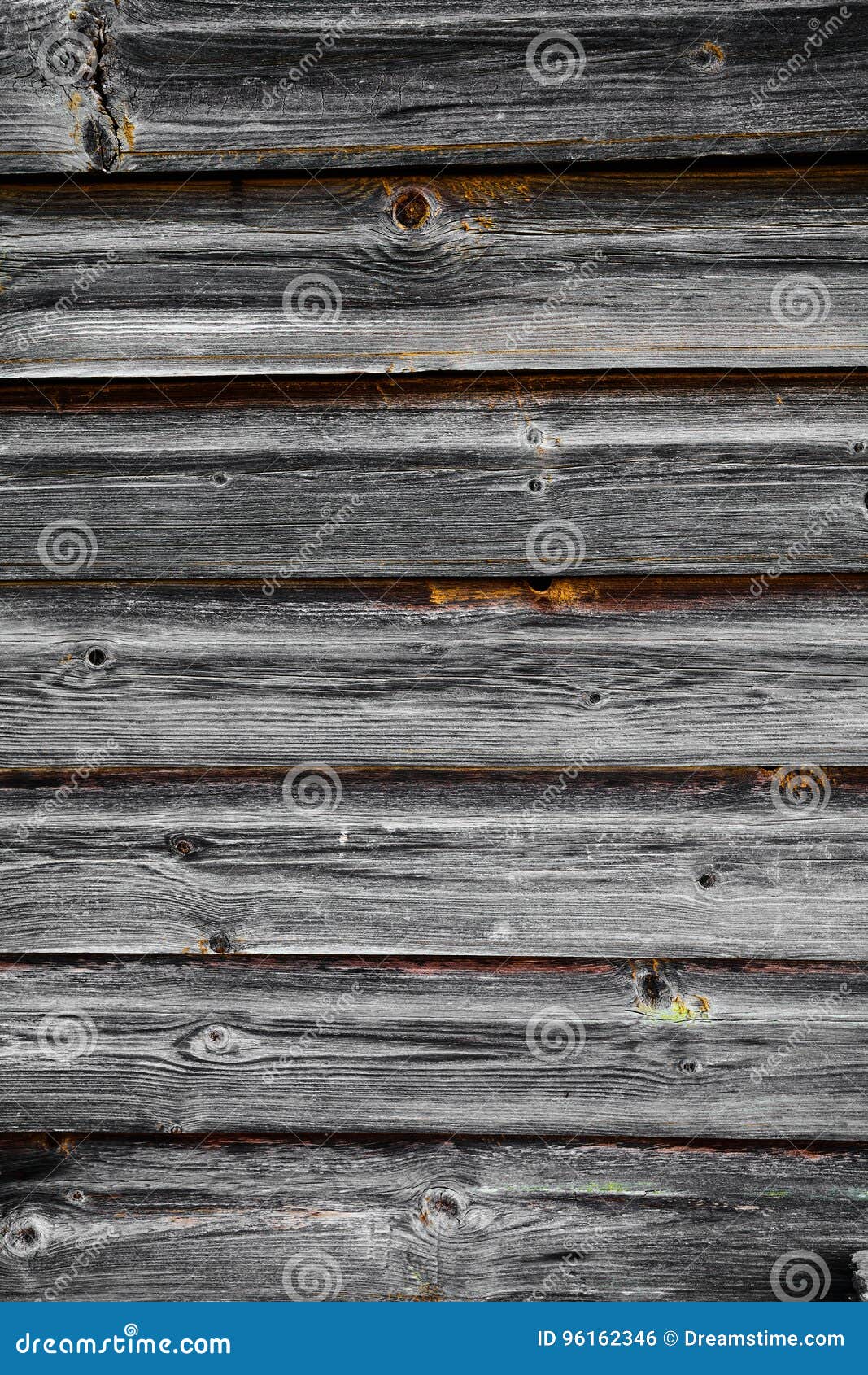 Old Tree Texture, Grey Colour Stock Photo - Image of garden, logs: 96162346