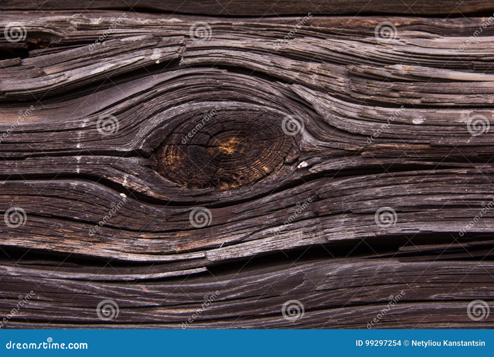 Old tree stock photo. Image of house, architecture, plant - 99297254