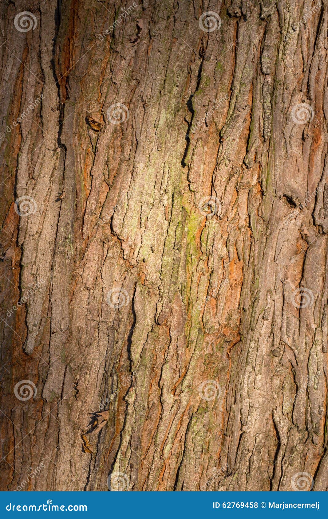 Old Tree Trunk Bark Rough Background Stock Photo - Image of rugged ...