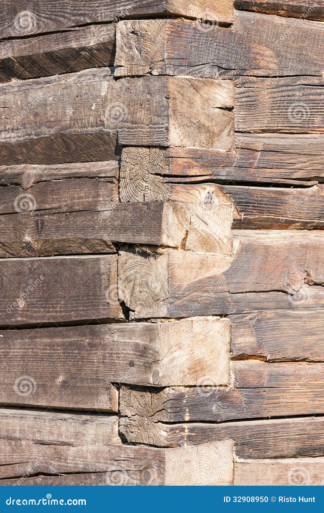 Old tree trunk wall stock photo. Image of stump, lumber - 32908950