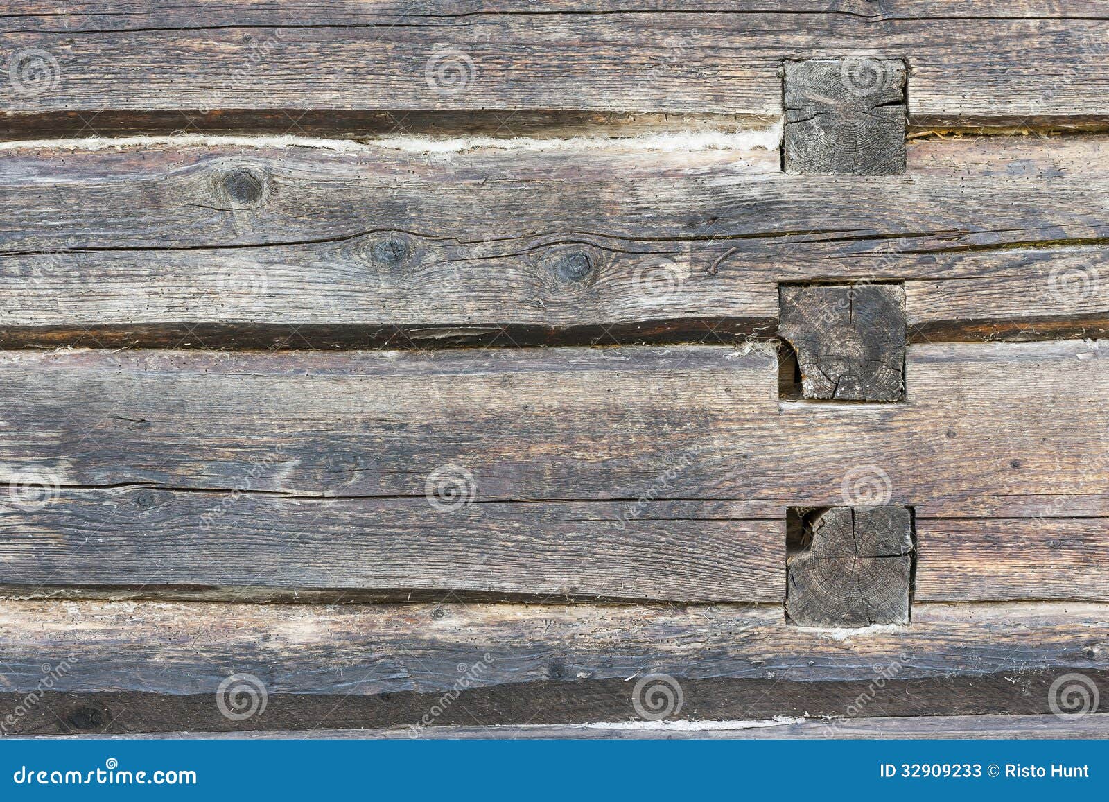 Old tree trunk wall stock image. Image of detail, surface - 32909233