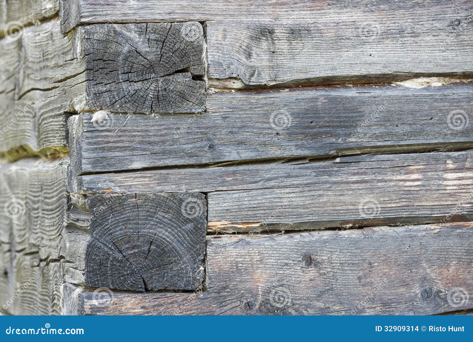 Old tree trunk wall stock photo. Image of aging, rings - 32909314