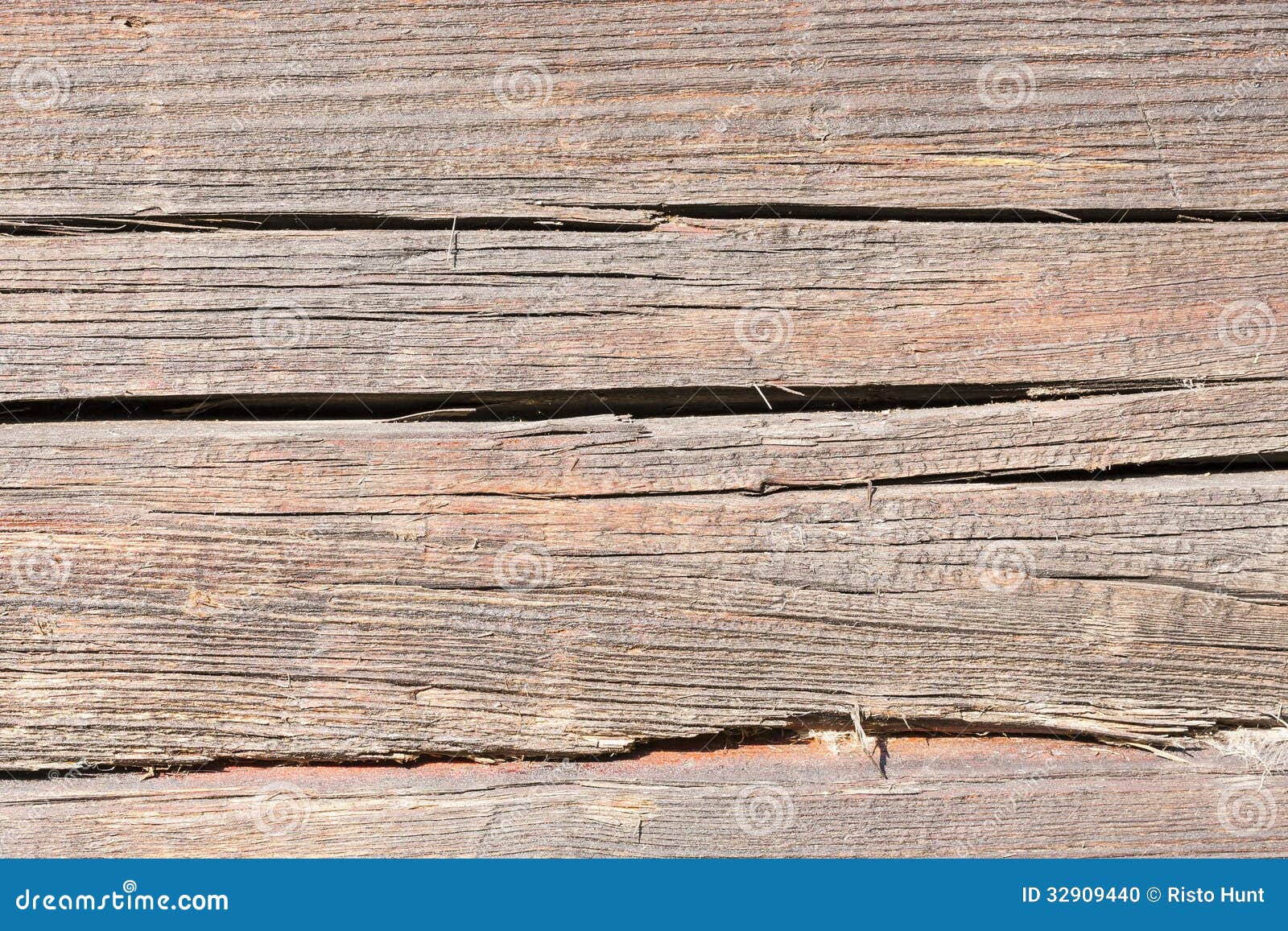 Old tree trunk wall stock photo. Image of brown, material - 32909440