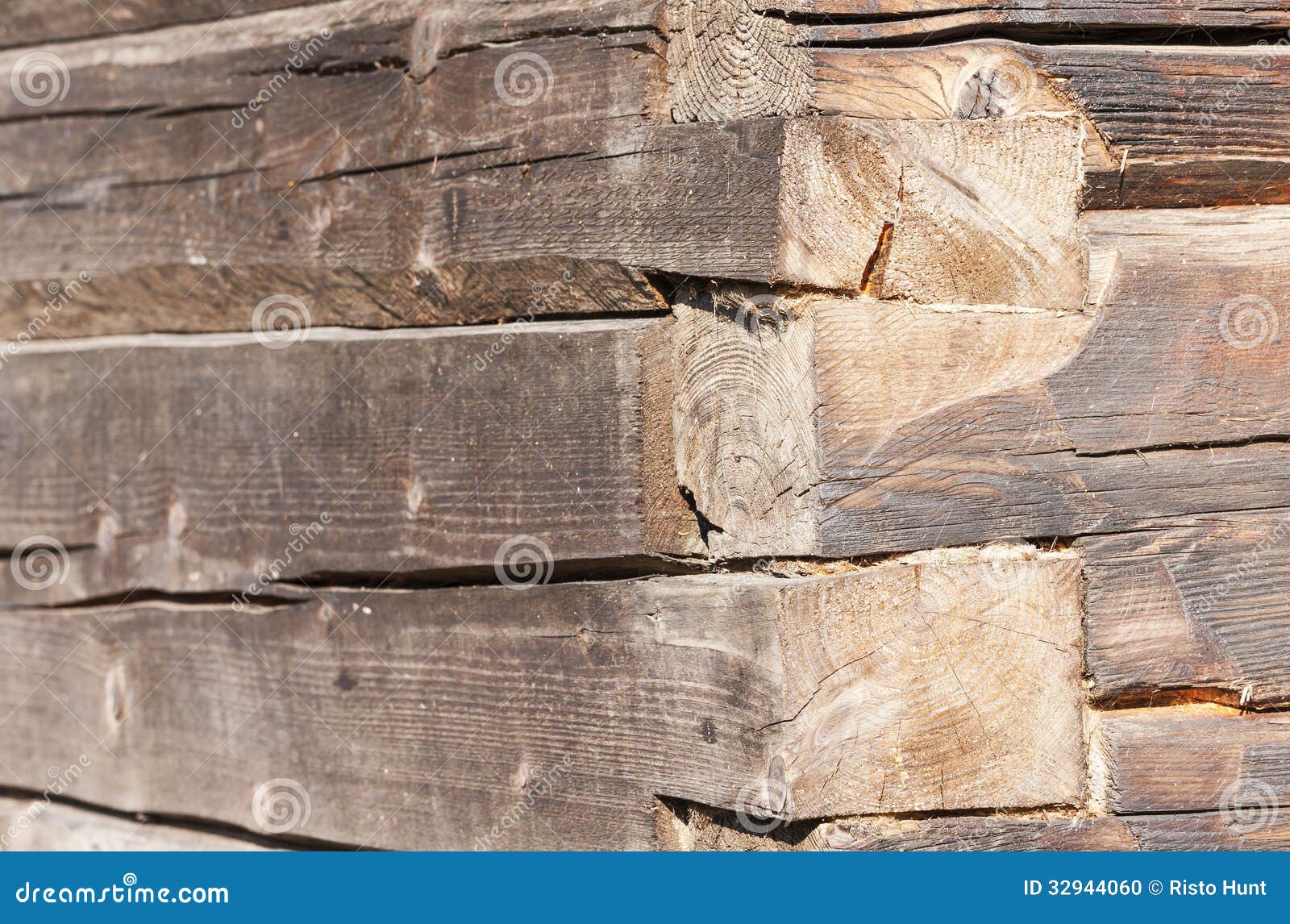 Old tree trunk wall stock photo. Image of closeup, trunk - 32944060