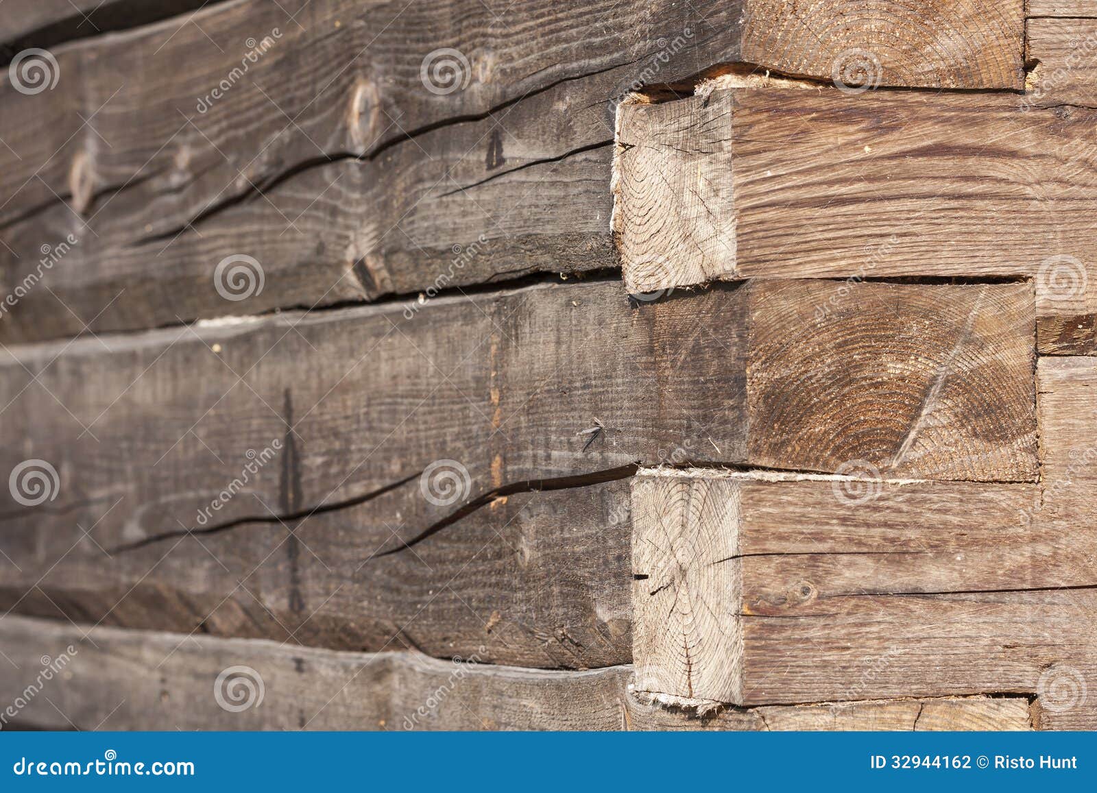 Old tree trunk wall stock photo. Image of brown, hardwood - 32944162