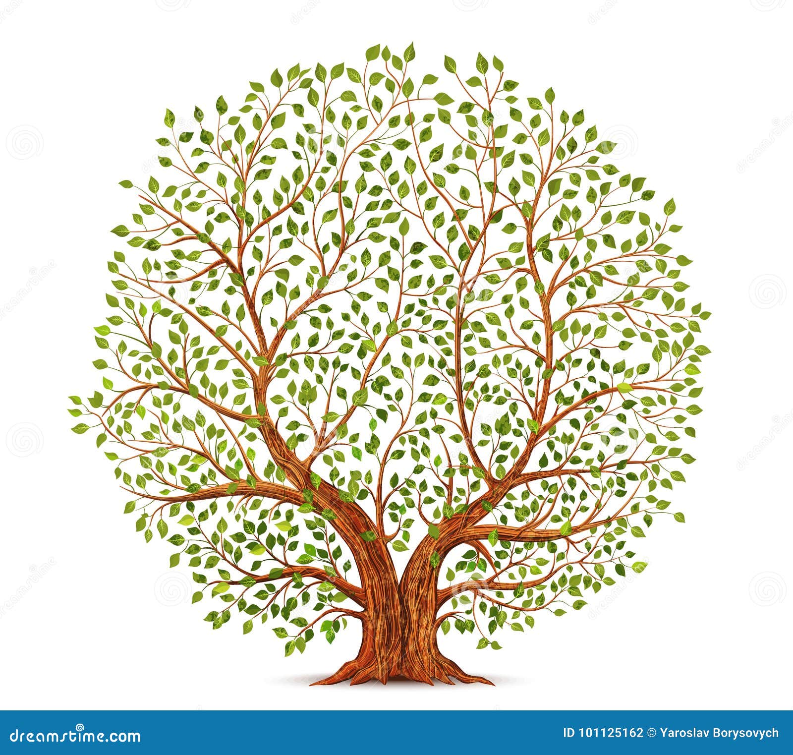 Old tree vector stock vector. Illustration of olive - 101125162