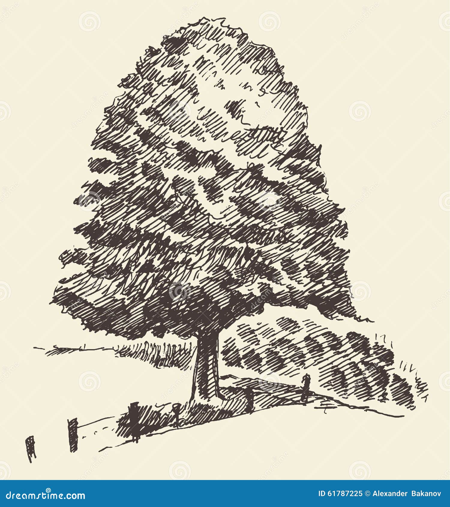 Old Tree Vintage Illustration Hand Drawn Sketch Stock Vector ...