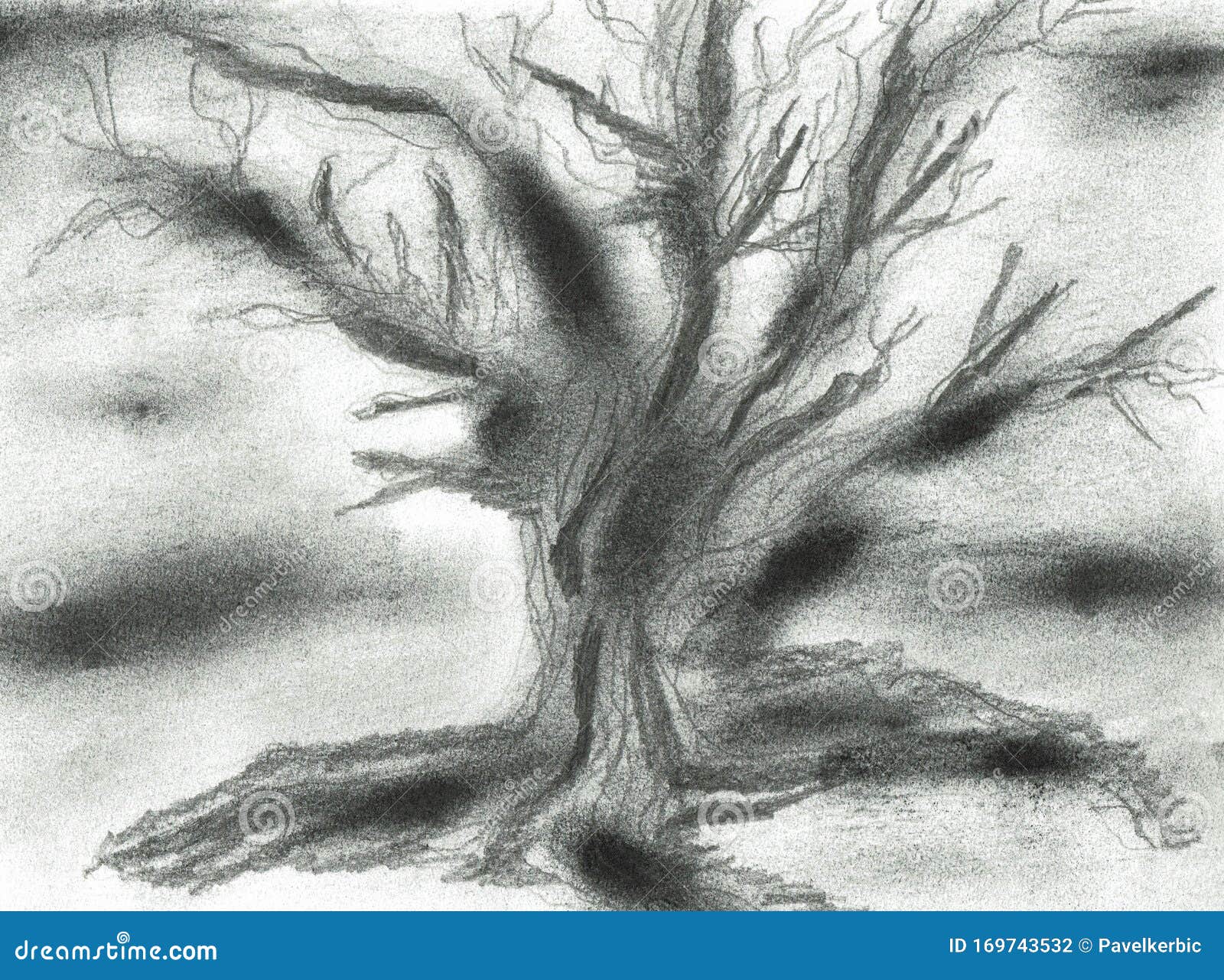 Old Tree in the Wind, Hand Drawn Pencil Drawing Stock Photo - Image of ...