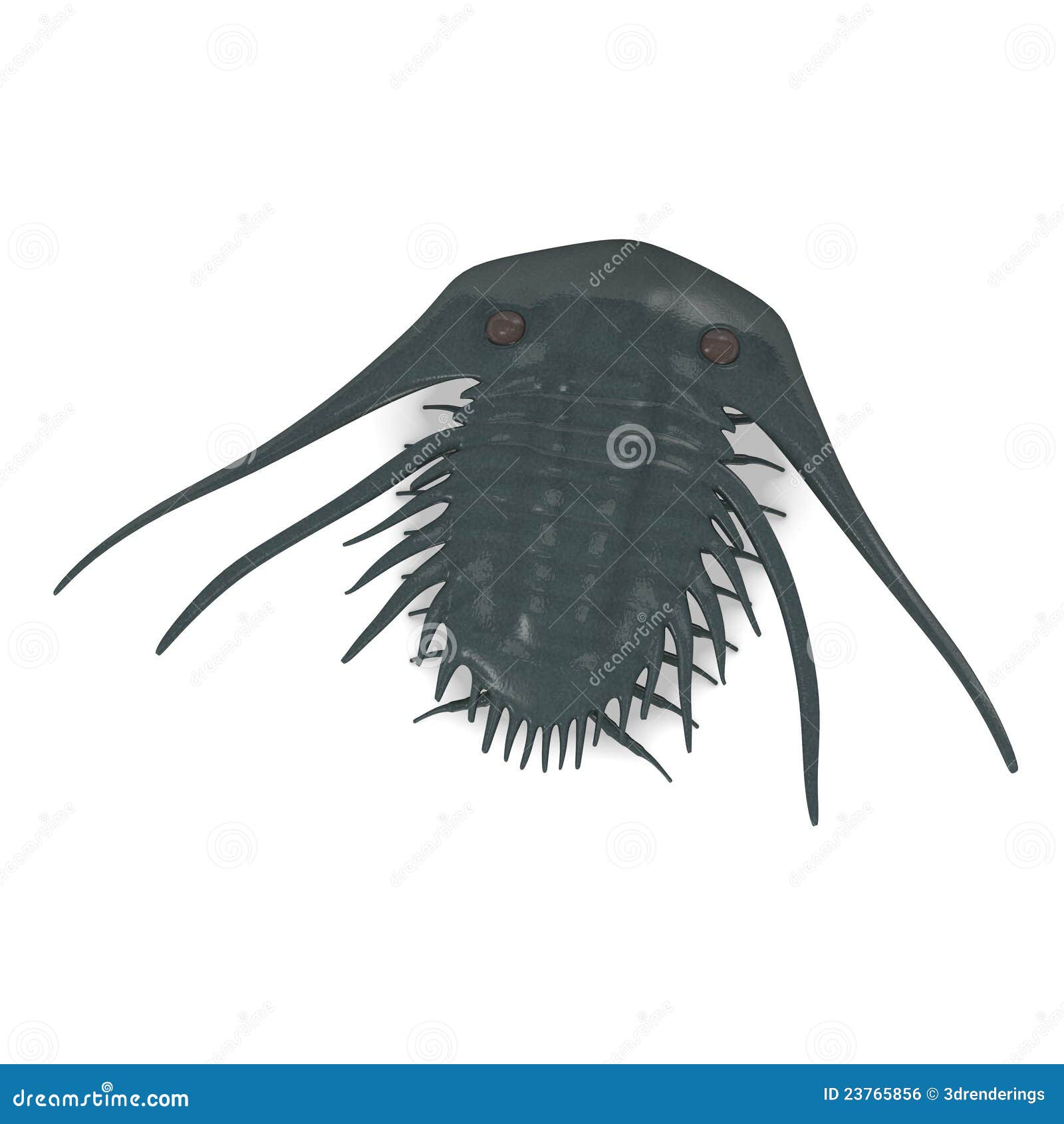 Old trilobite stock illustration. Illustration of extinct - 23765856