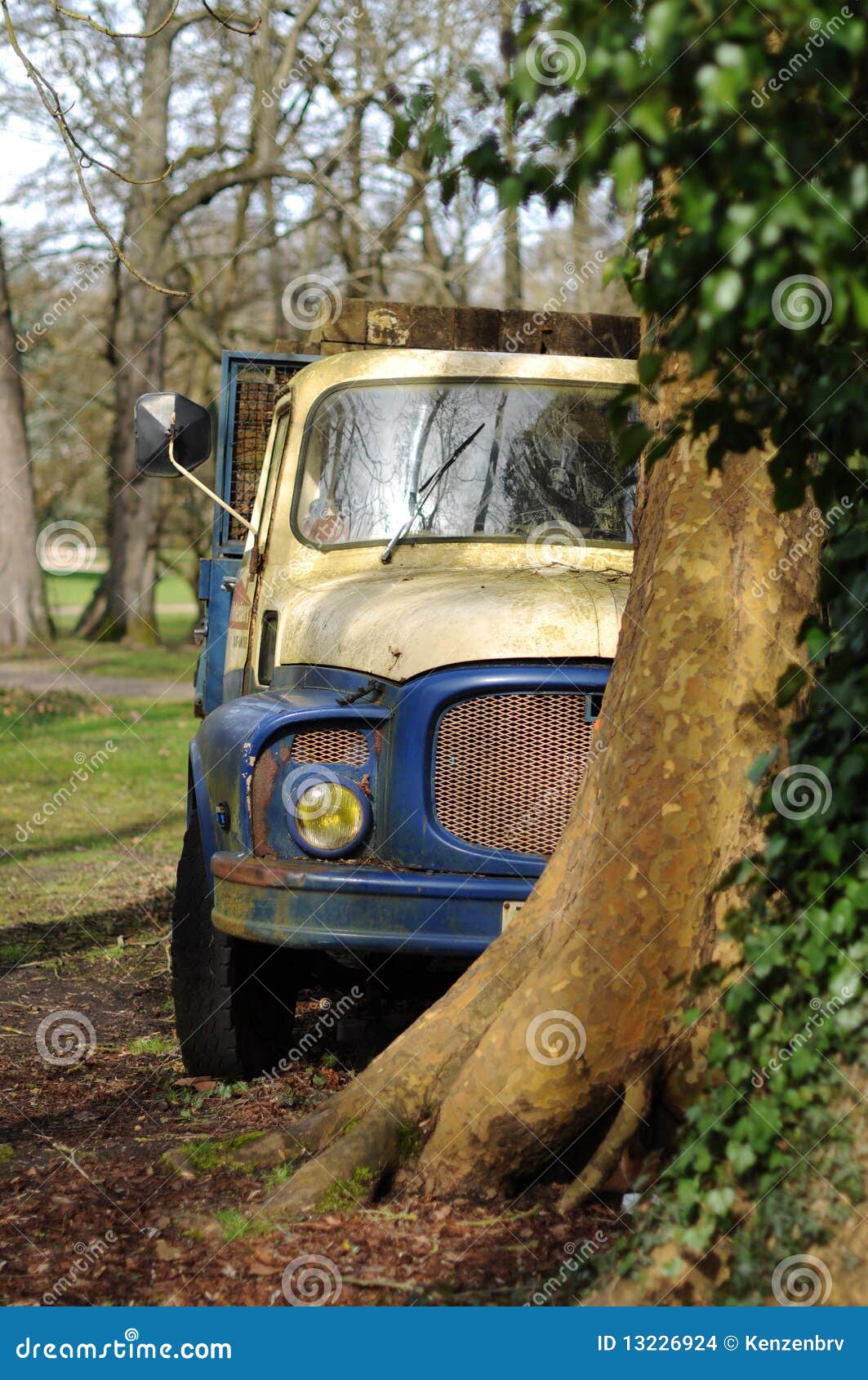 Old truck under a tree stock photo. Image of driver, motor - 13226924