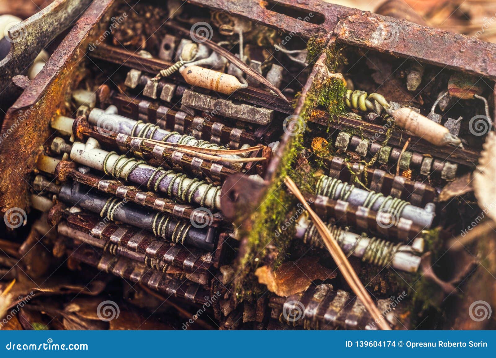 Old Tv Tuner Channel Selector with Moss in Fall Leaves Stock Photo ...