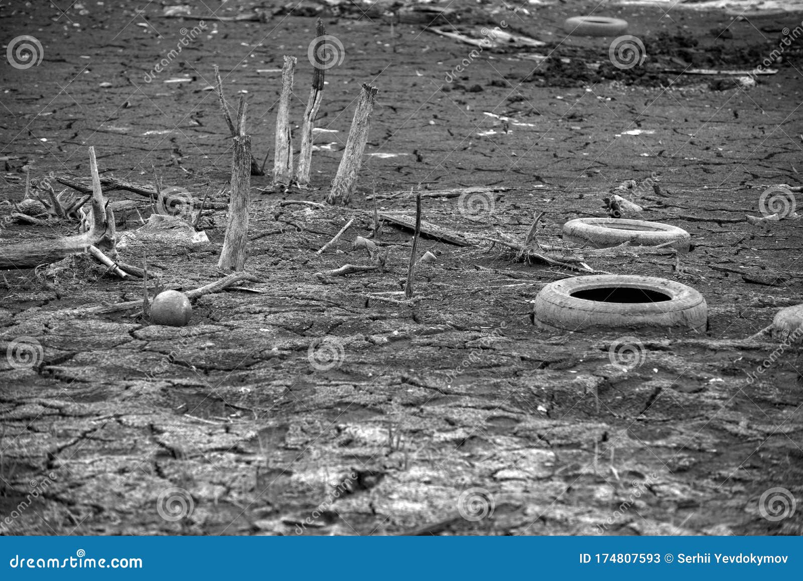 Old Tyre in the Bog. Environmental Problems Pollution Stock Image ...