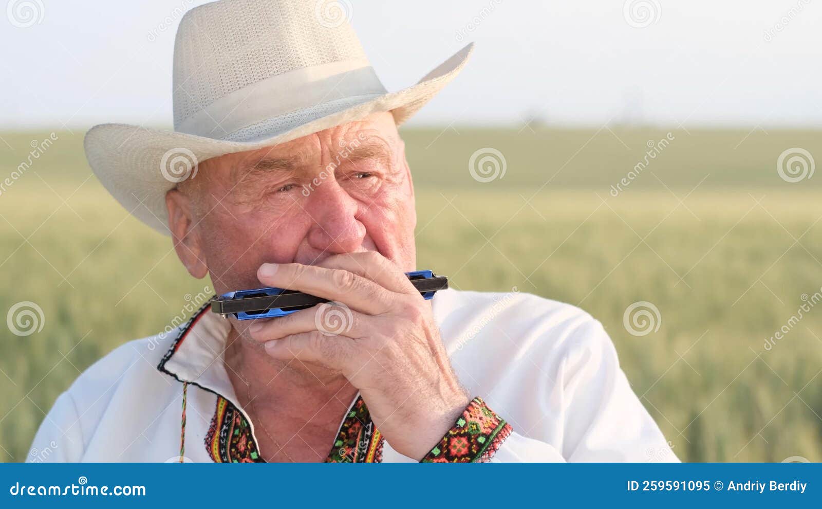 An Old Ukrainian Grandfather In An Embroidered Jacket Sits On A Wheat
