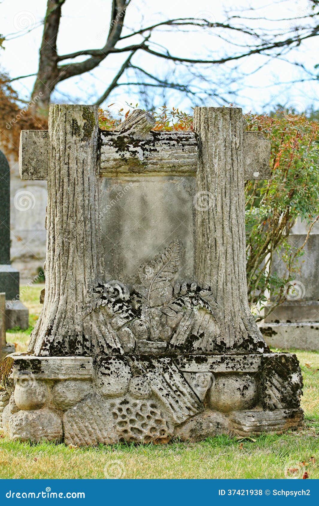Old Unusual Tombstone Tree Trunks Symbols Stock Photo - Image of branch ...