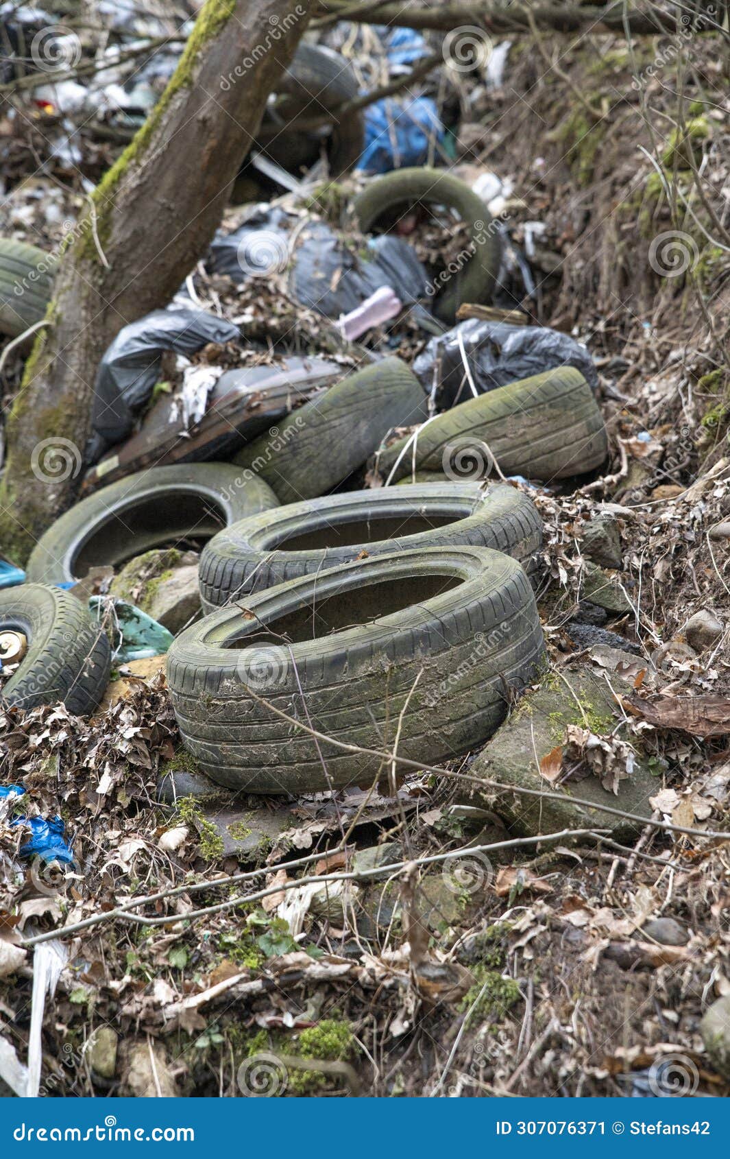 Old Used Car Tires in the Forest. Illegal Dump of Tires in the Nature ...