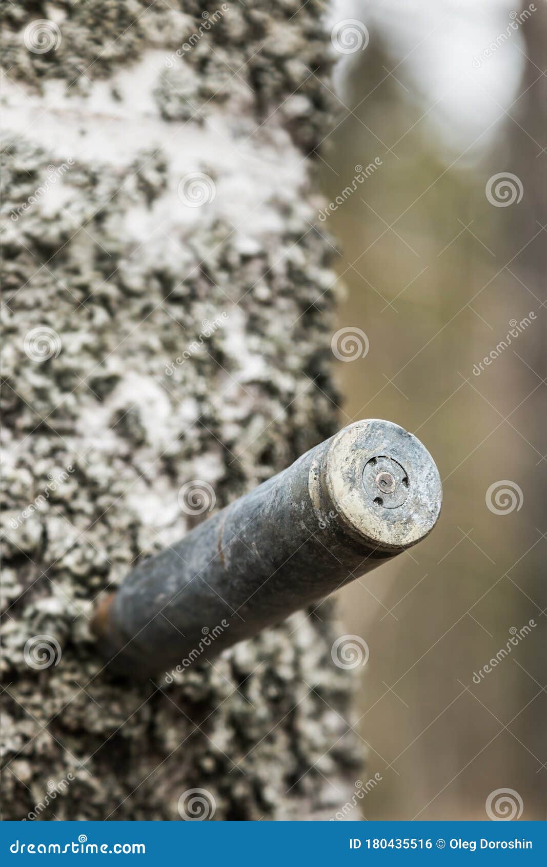 40 Caliber Cartridge Casings Stock Photography | CartoonDealer.com #7659860