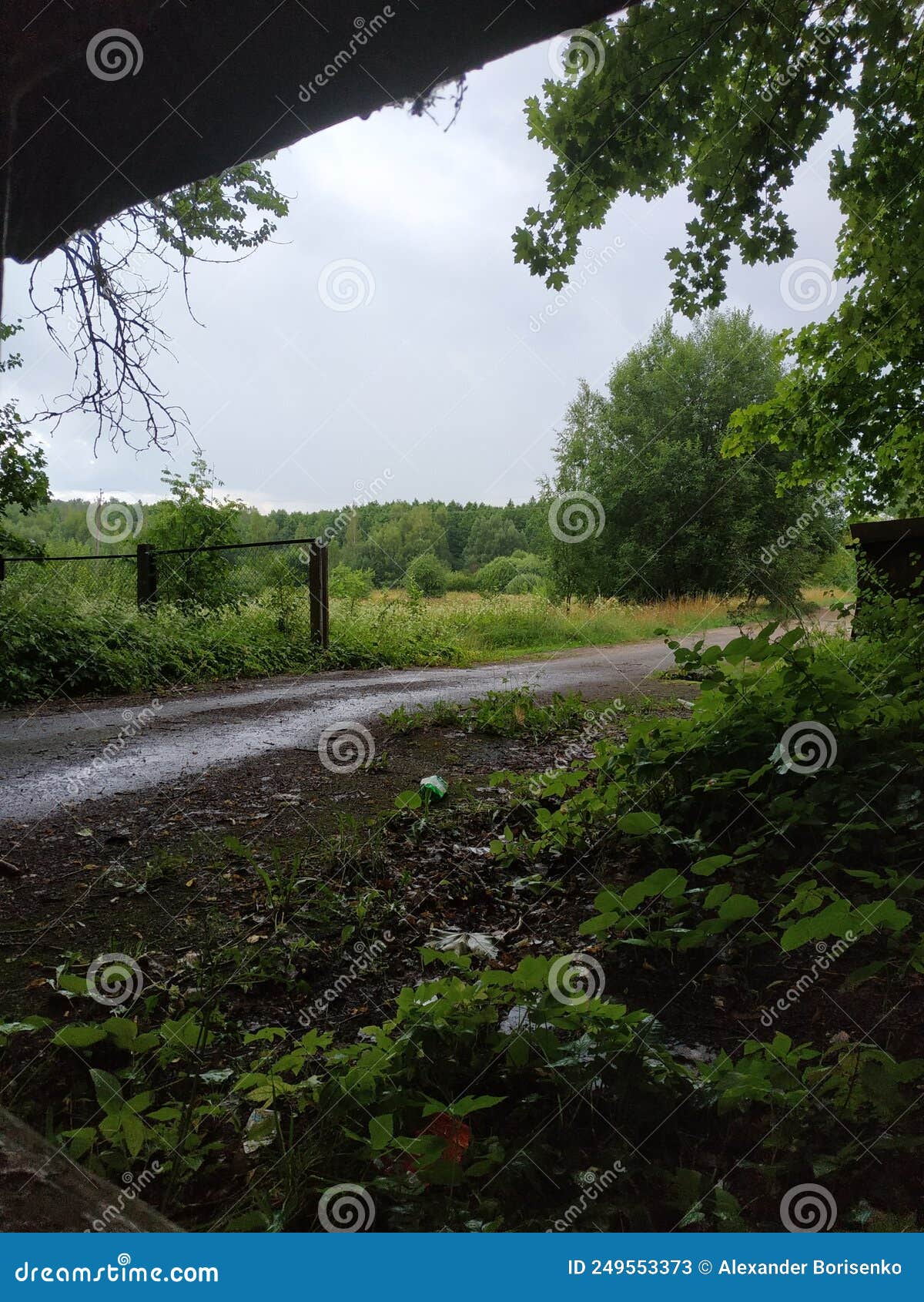 Old USSR Camp Road Exit stock image. Image of tree, camp - 249553373