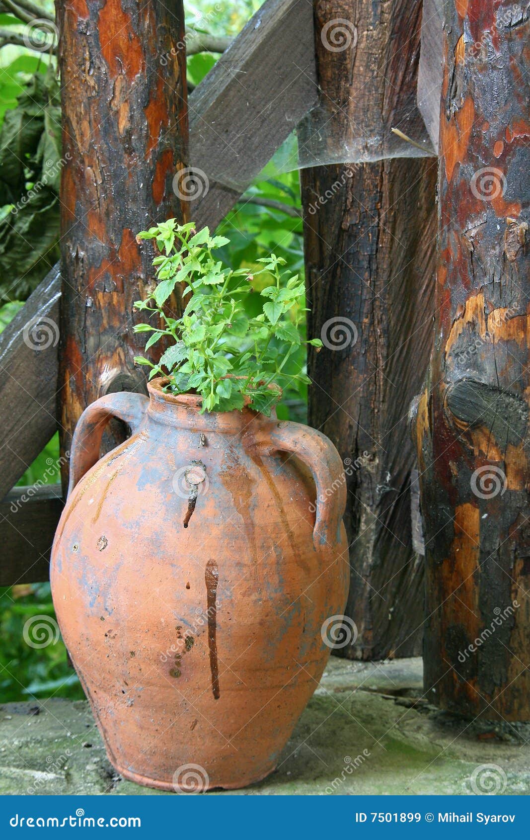 Old vase stock image. Image of classical, decorative, vase - 7501899