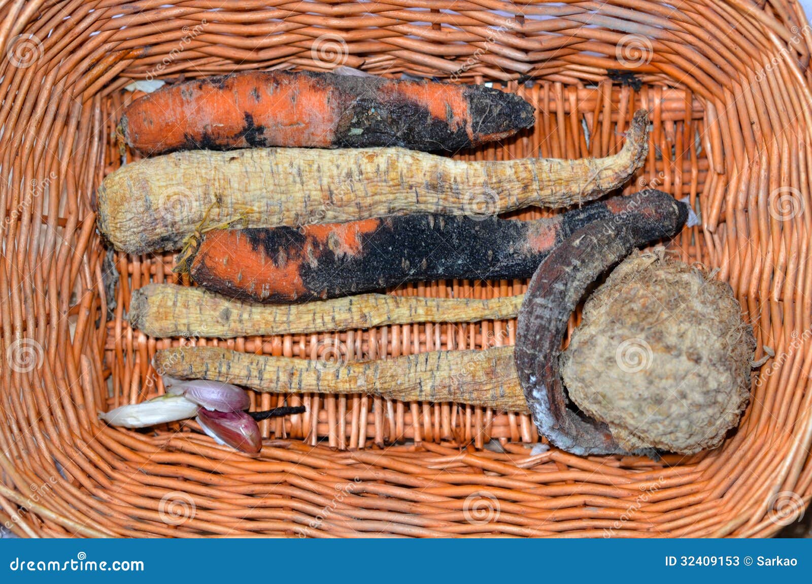 Old vegetable stock image. Image of disgusting, food - 32409153