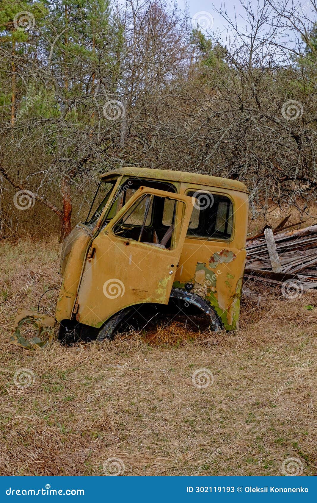 Old Vehicle Decaying among Overgrown Plants Stock Image - Image of ...